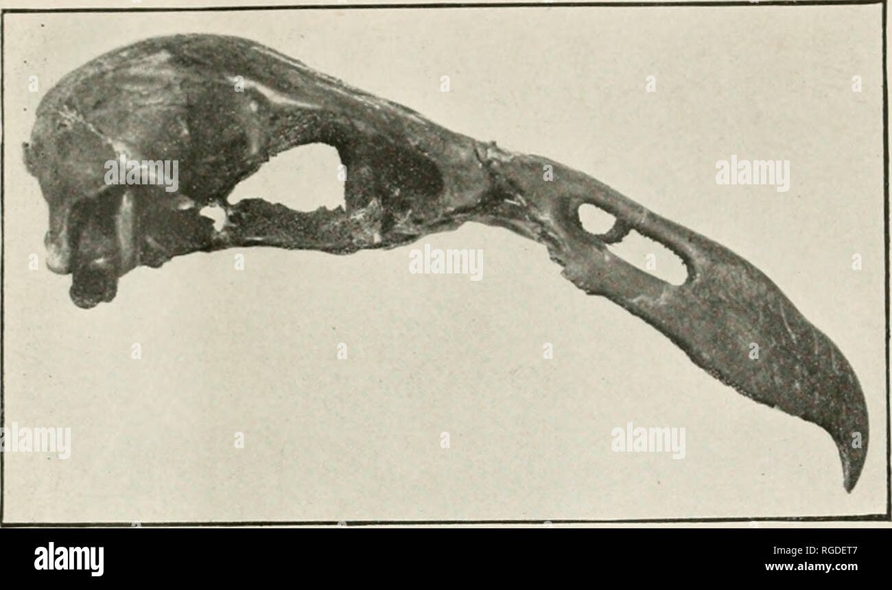 . Bulletin of the Southern California Academy of Sciences. Science ...