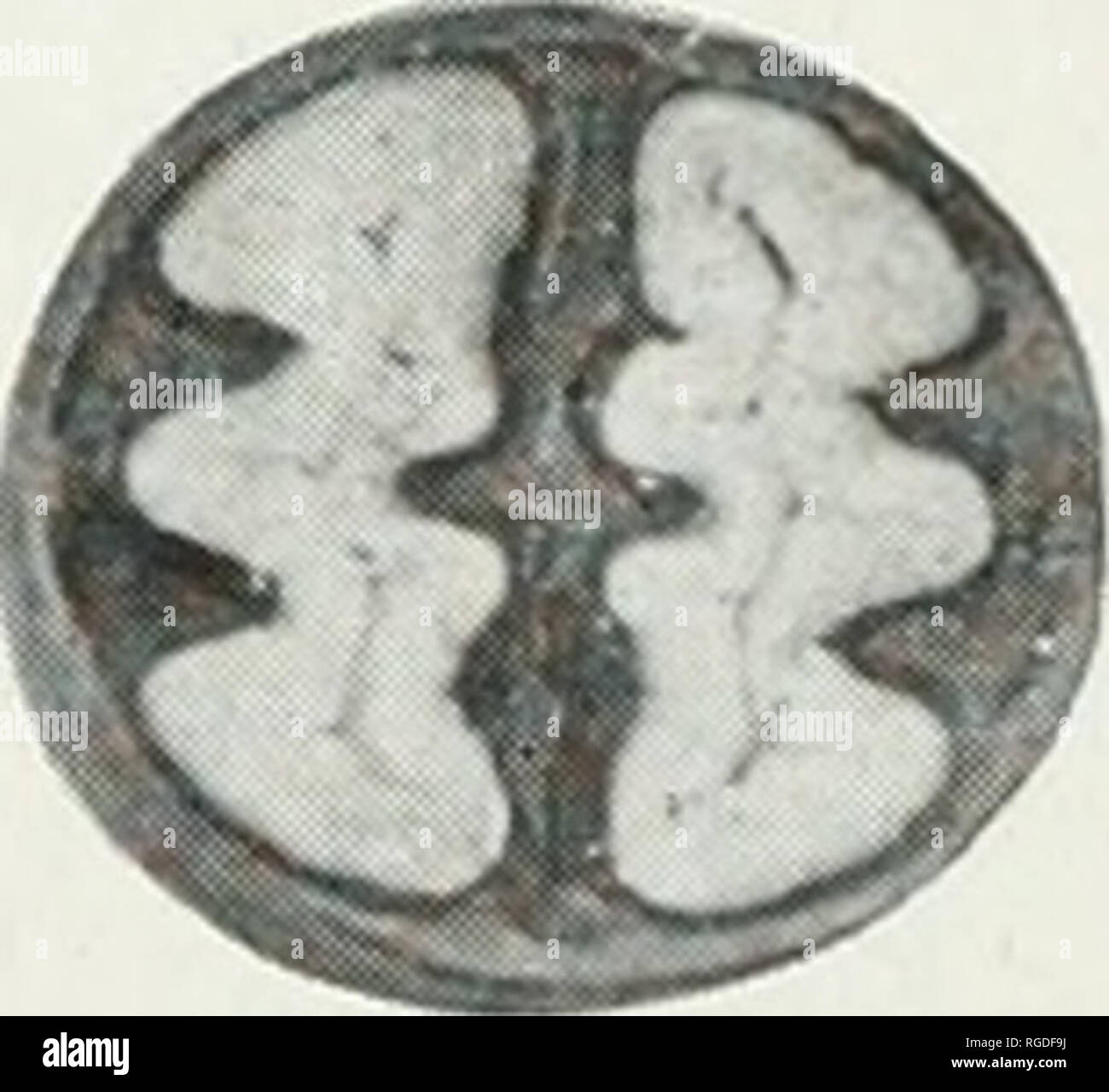 Retaining nut hi-res stock photography and images - Alamy