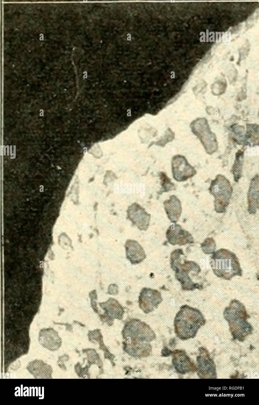 . Bulletin of the scientific laboratories of Denison University. Fk;. 3 ...