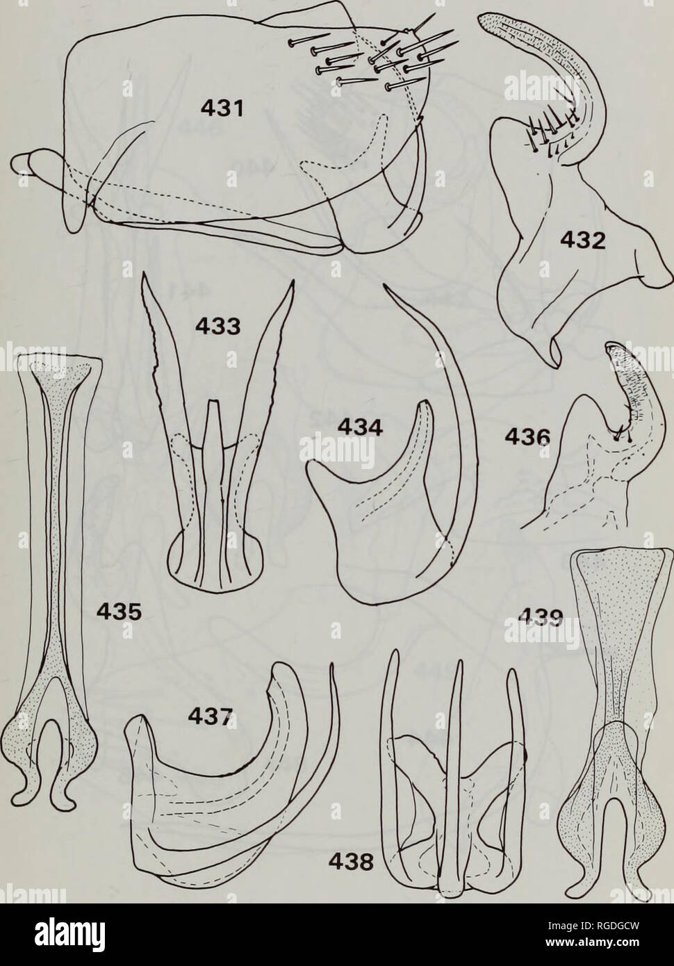 . Bulletin of the Natural History Museum Entomology. CLASSIFICATION OF ...