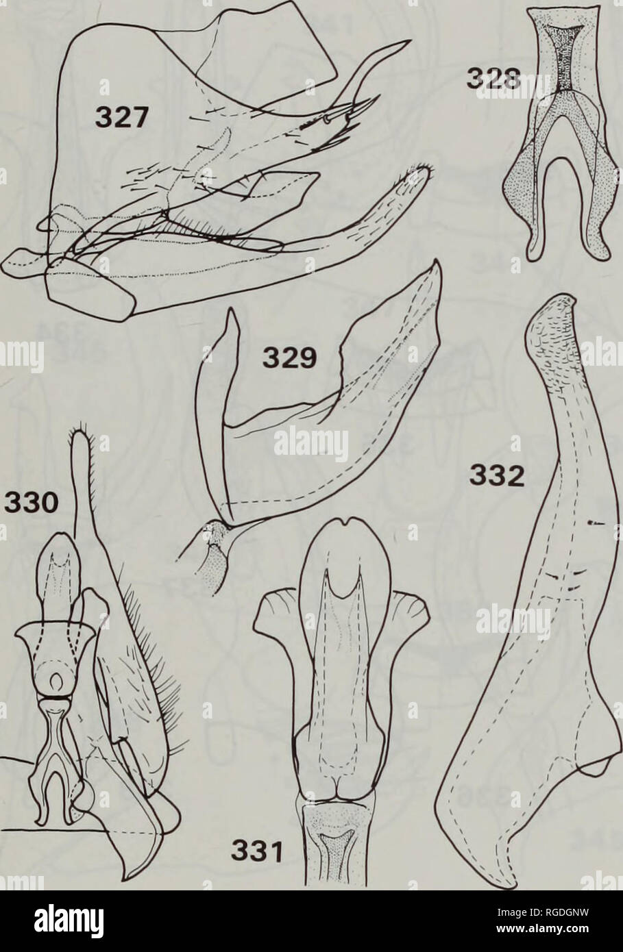 . Bulletin of the Natural History Museum Entomology. CLASSIFICATION OF ...