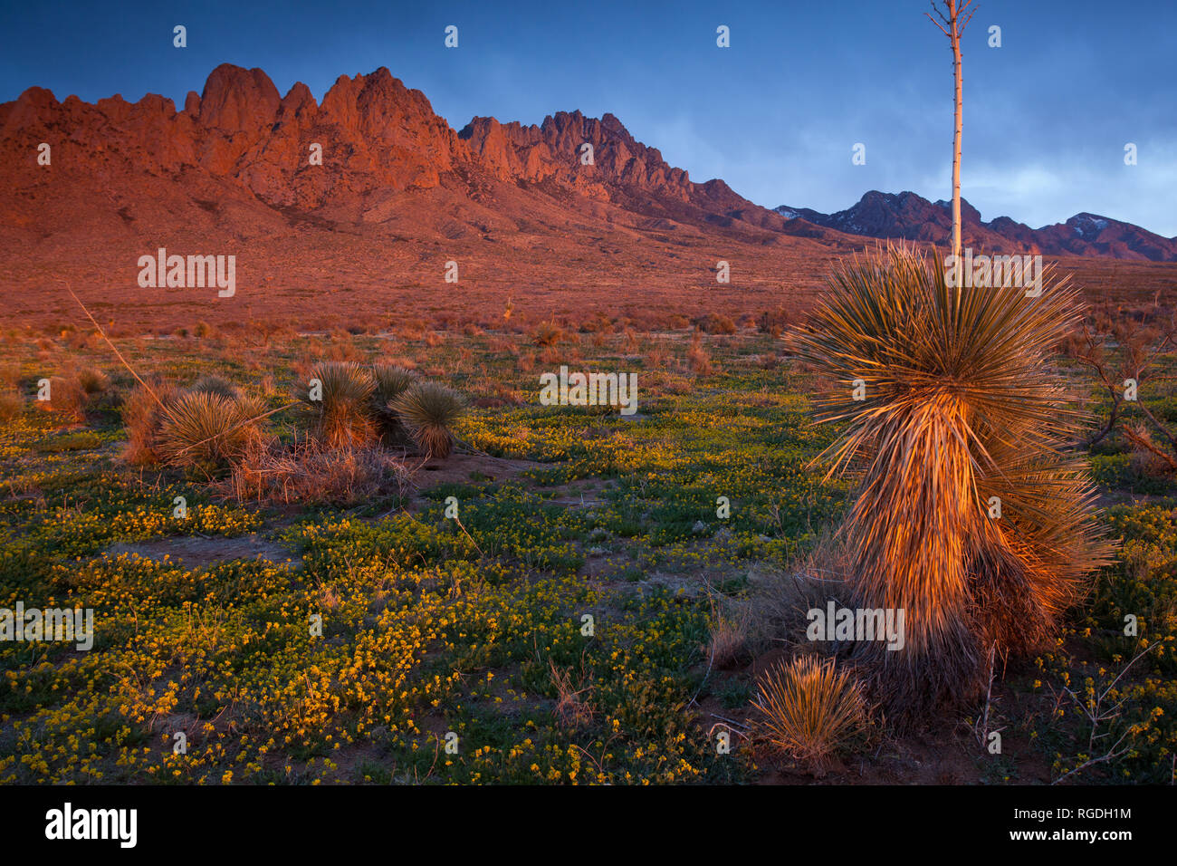 Organ Mountains, Dona Ana County, New Mexico, USA Stock Photo - Alamy