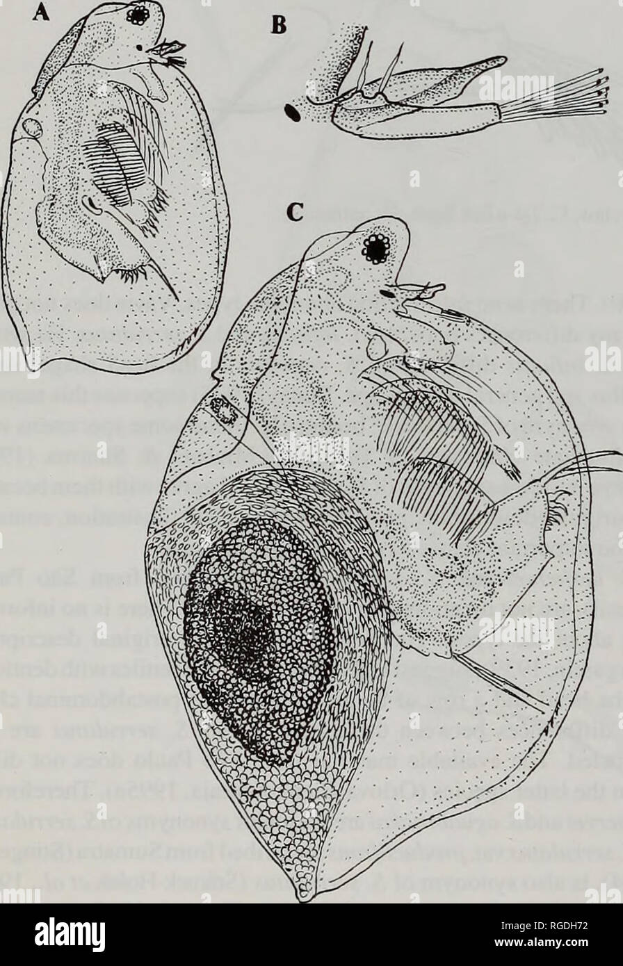 . Bulletin of the Natural History Museum Zoology. Fig. 47 S ...