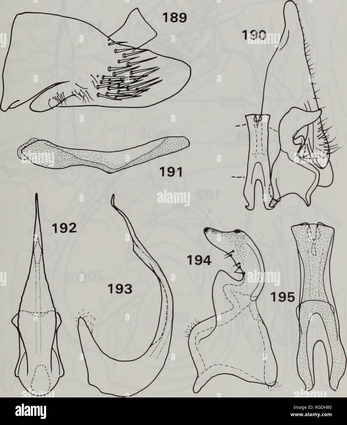 . Bulletin of the Natural History Museum Entomology. CLASSIFICATION OF ...