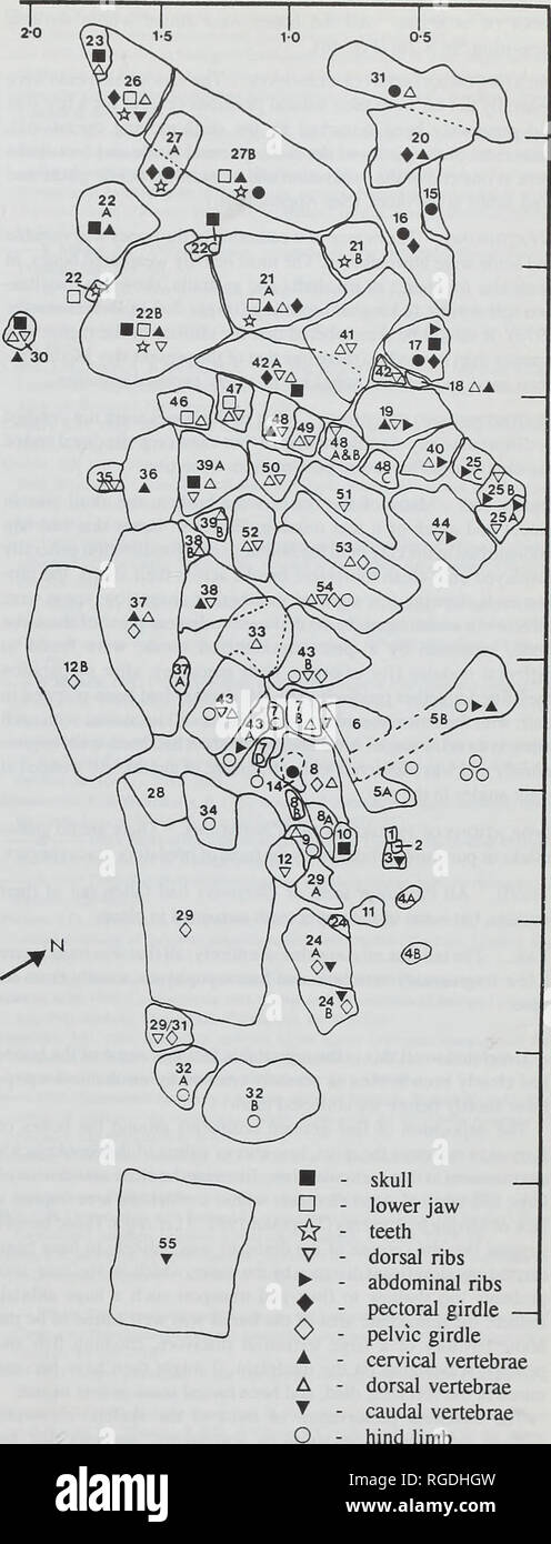 Spaced teeth hi-res stock photography and images - Alamy