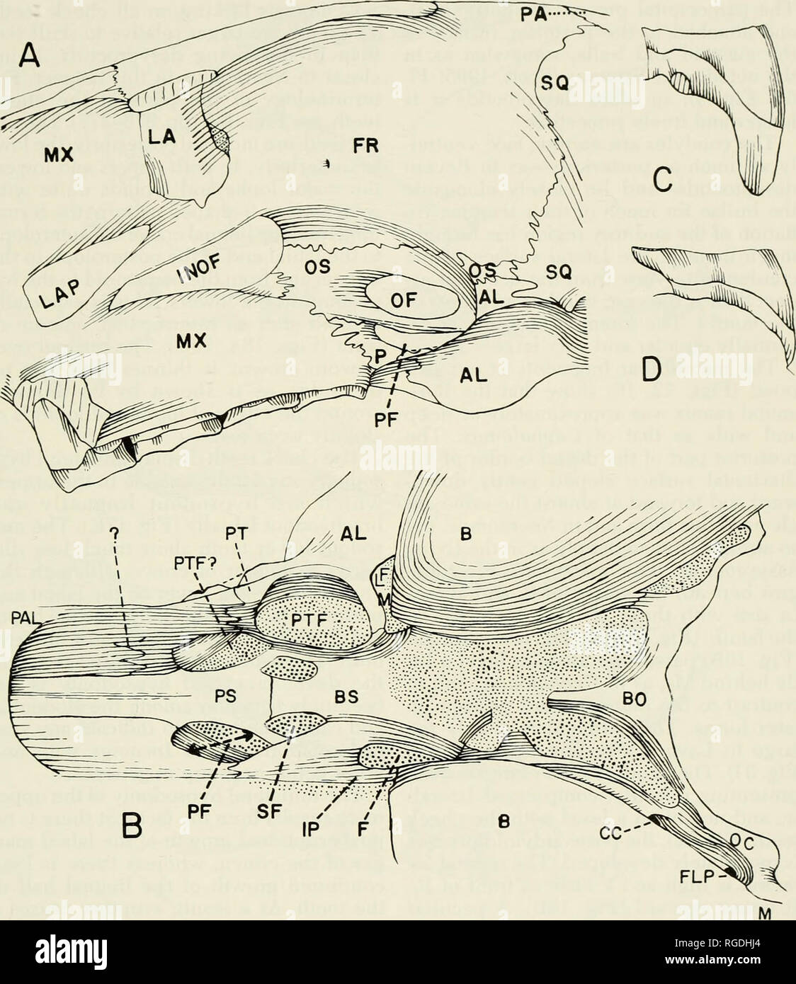 . Bulletin of the Museum of Comparative Zoology at Harvard College ...