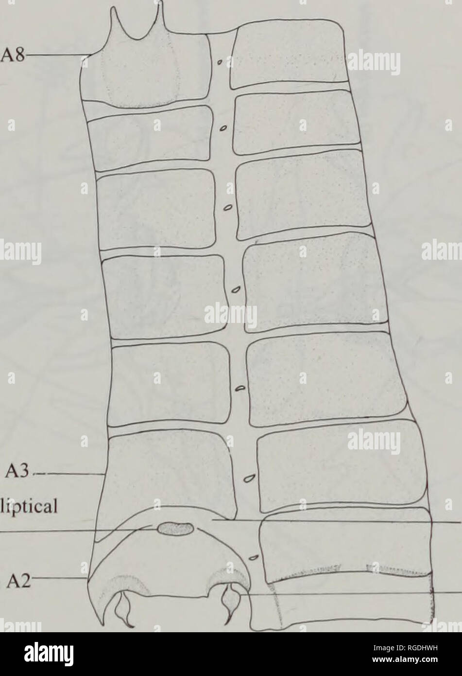 . Bulletin of the Natural History Museum Entomology. REVISION OF GENUS ...