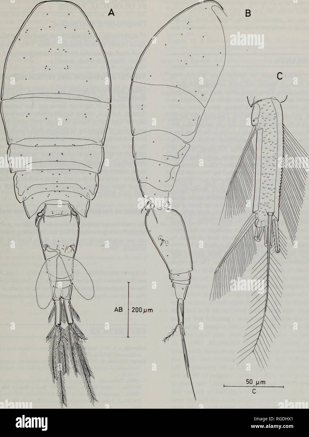 Reef morphology hi-res stock photography and images - Alamy