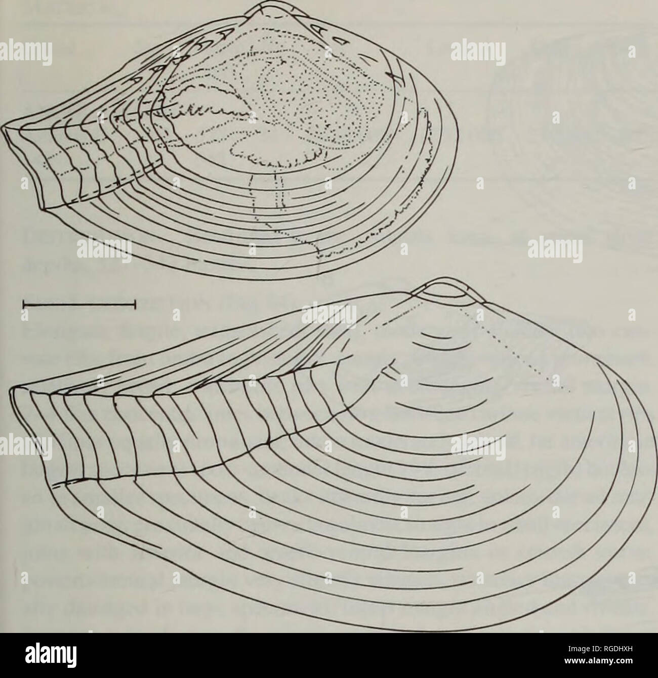 . Bulletin of the Natural History Museum Zoology. DEEP-SEA ...