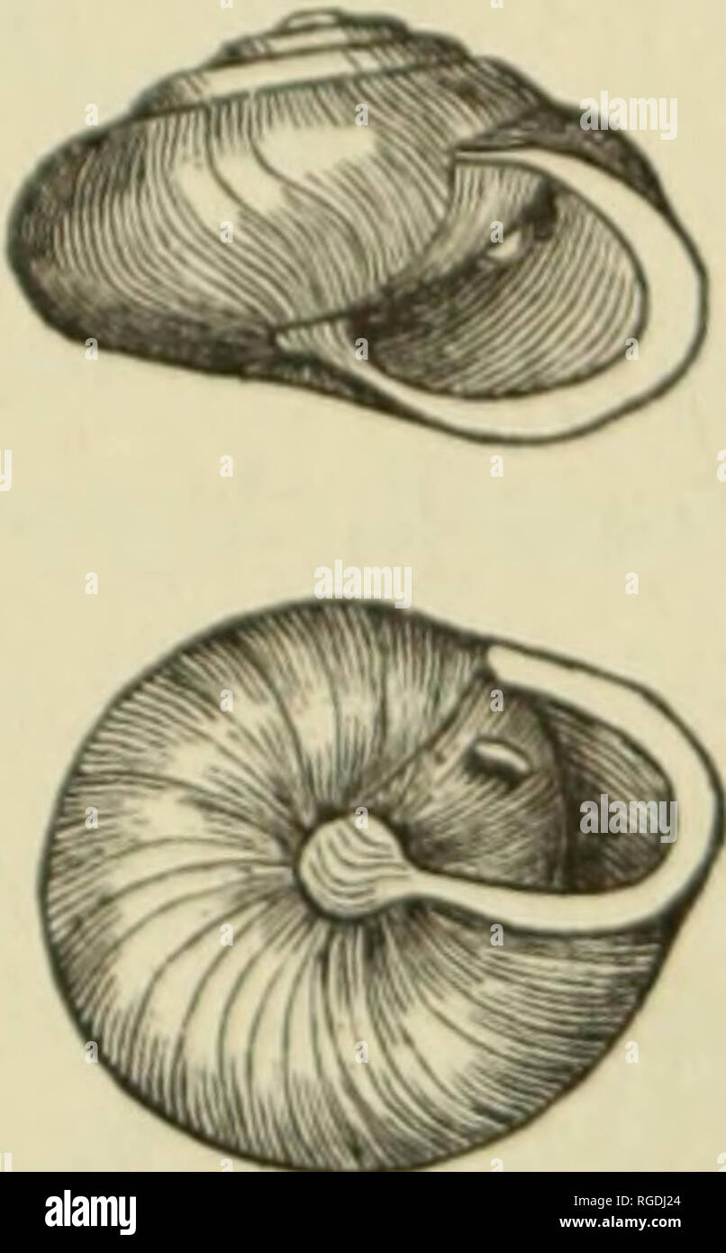 . Bulletin of the Museum of Comparative Zoology at Harvard College ...