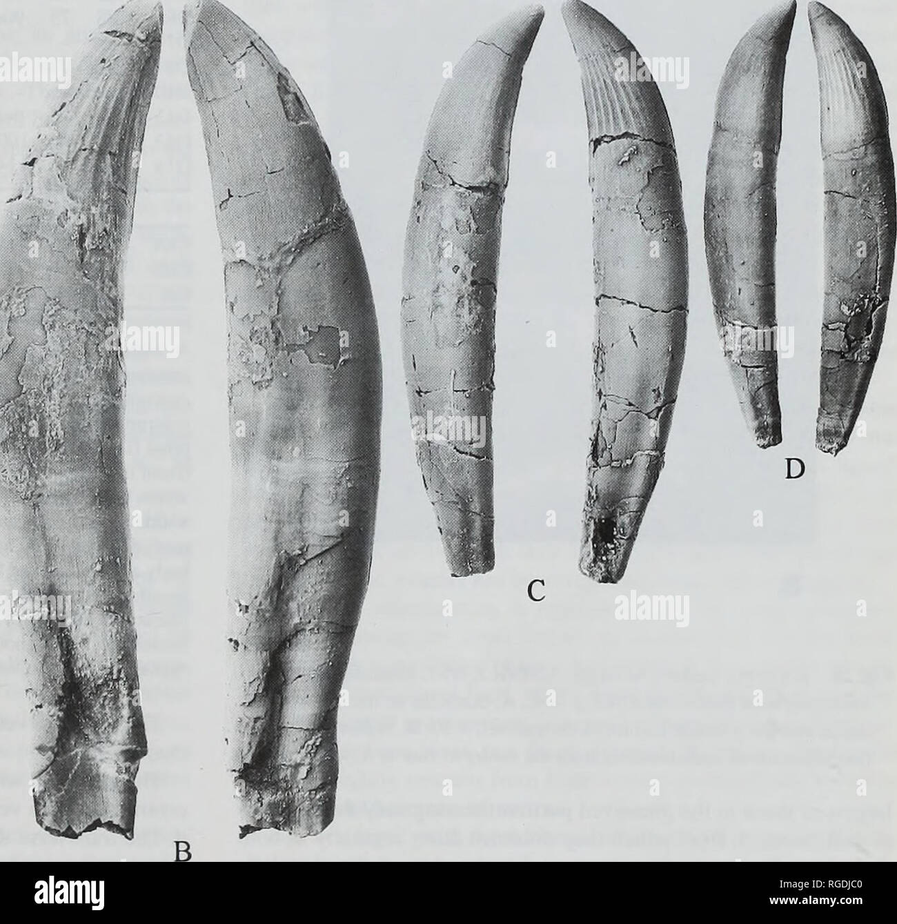 . Bulletin of the Natural Histort Museum. Geology series. . Fig. 18 ...