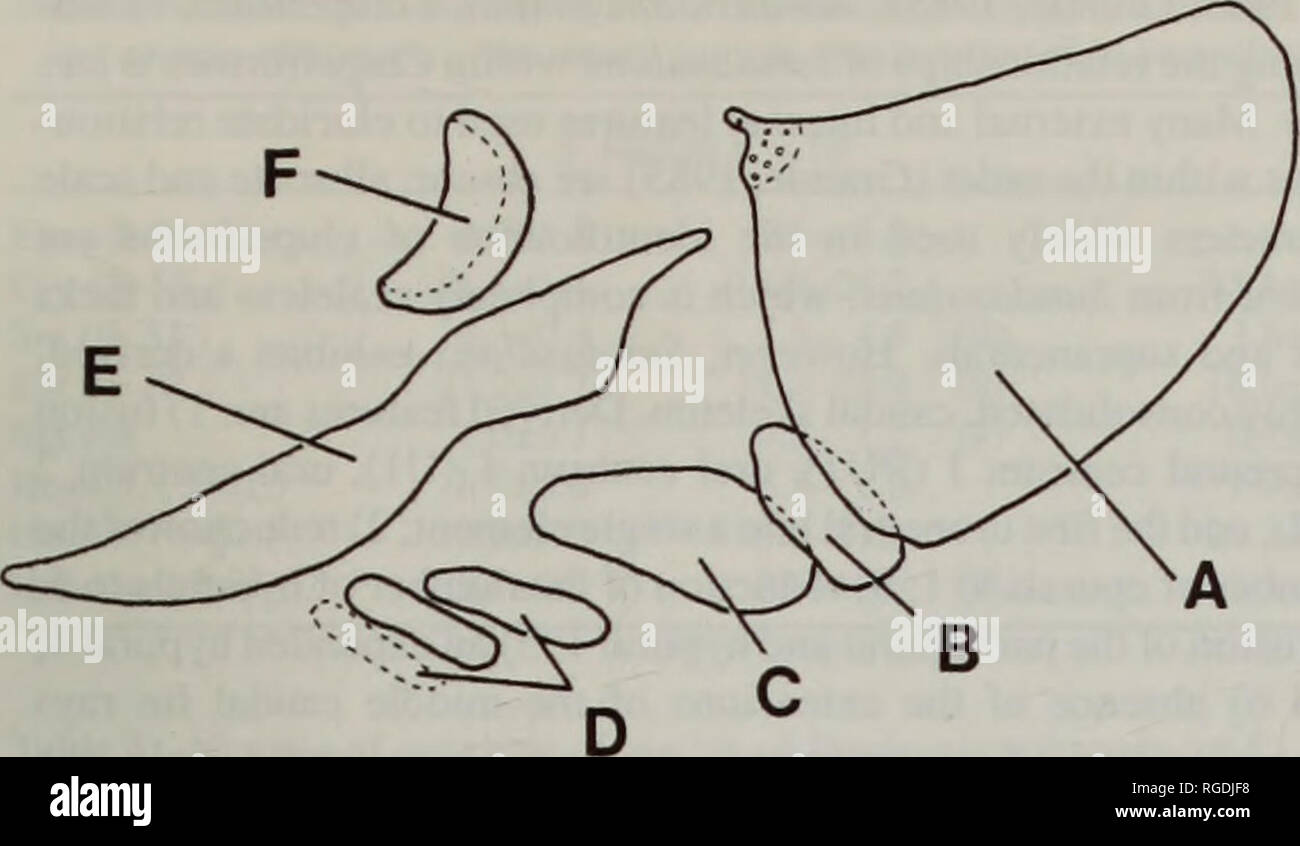 10 whole teeth hi-res stock photography and images - Alamy