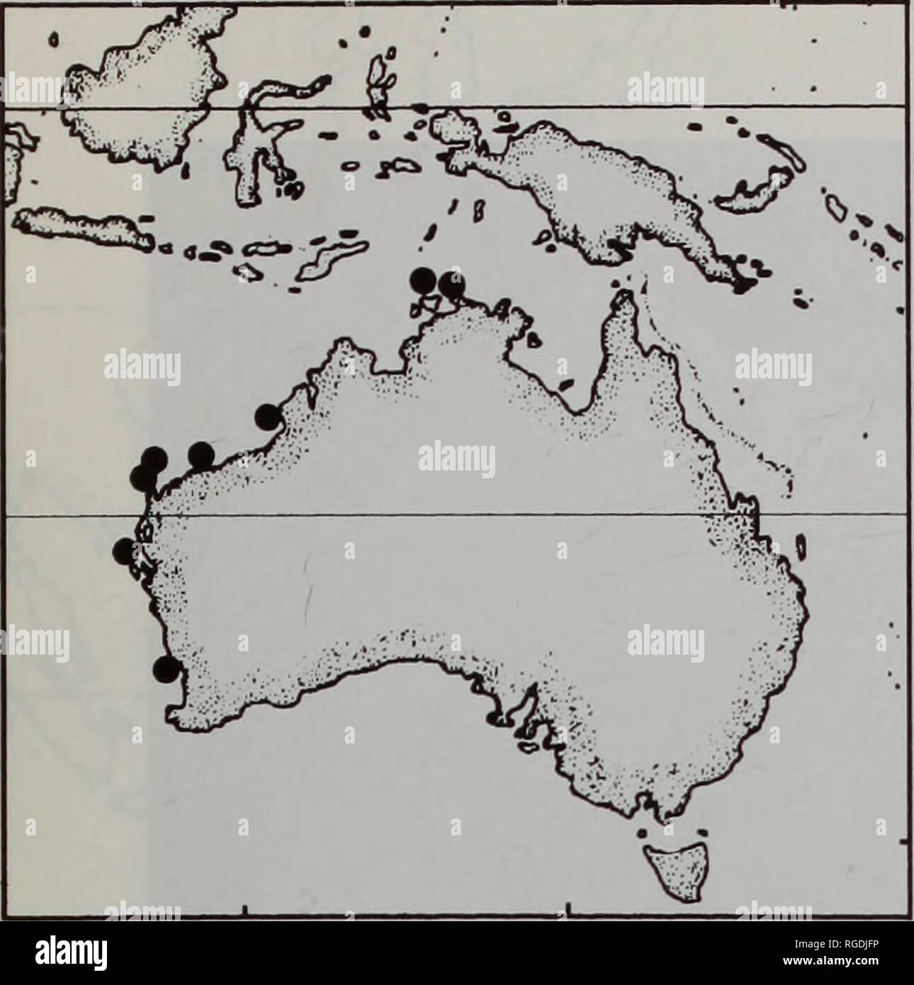 . Bulletin of the Natural History Museum Zoology. ANATOMY AND ...