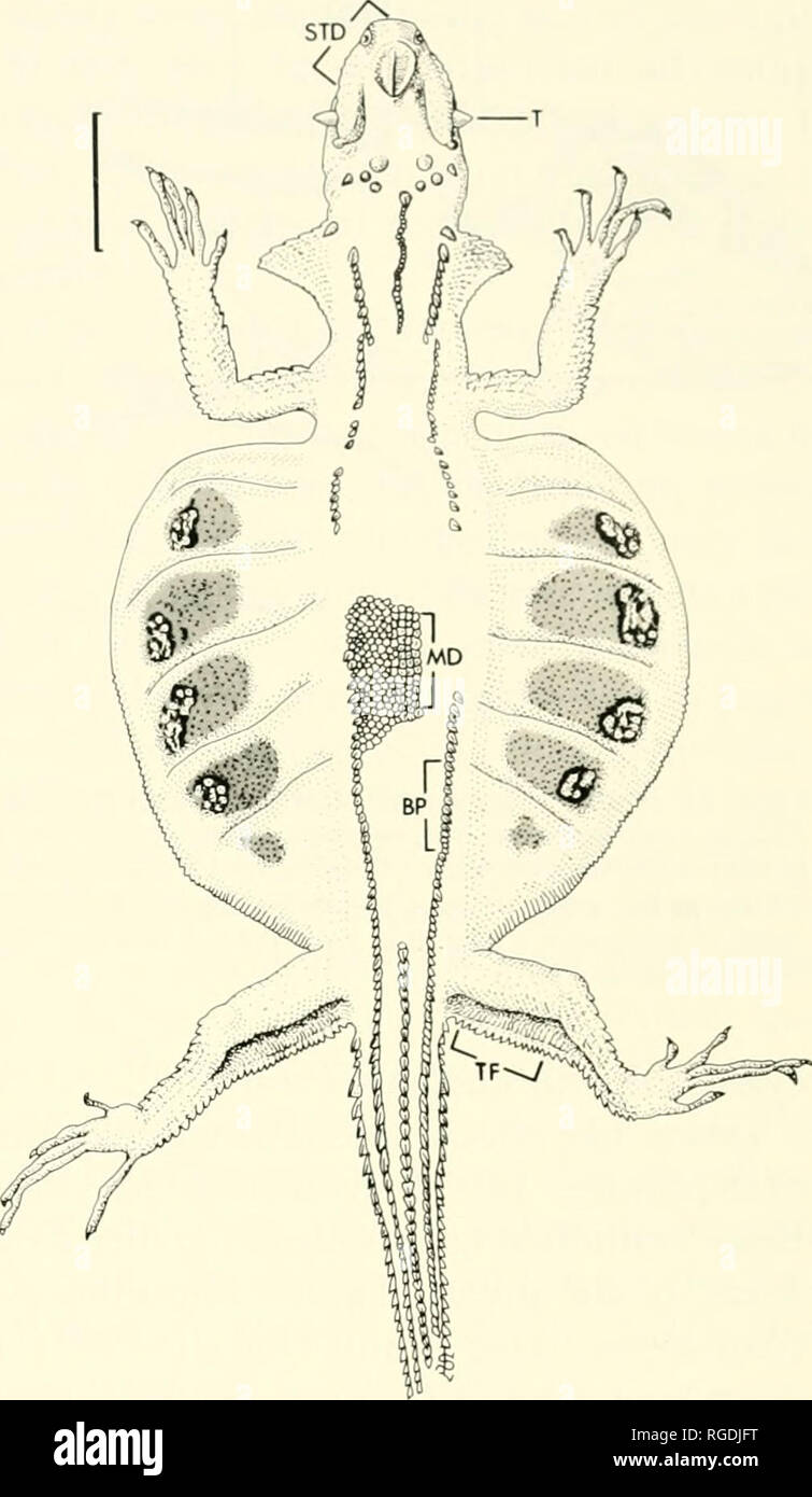 . Bulletin of the Museum of Comparative Zoology at Harvard College ...