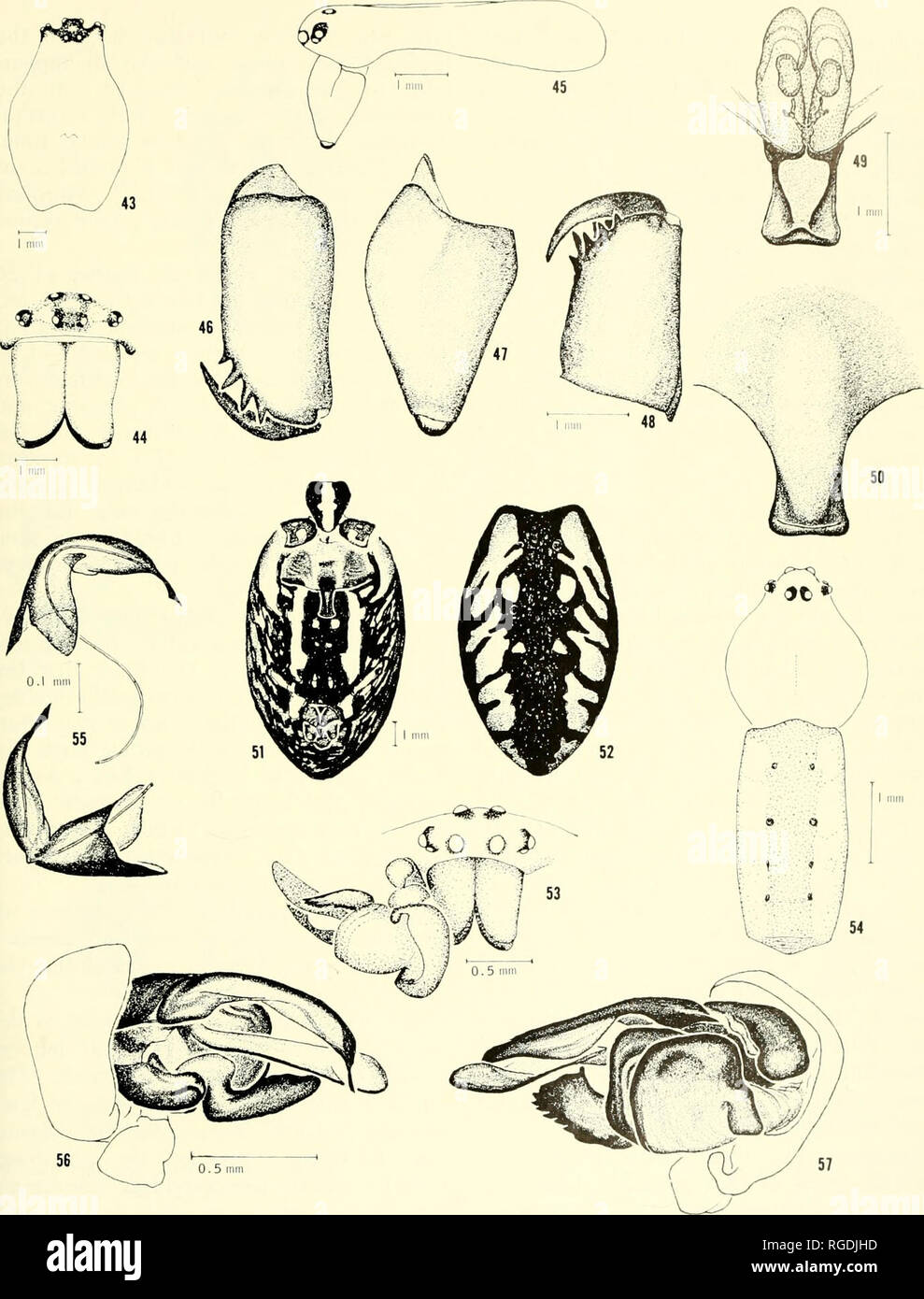 Gea college hi-res stock photography and images - Alamy