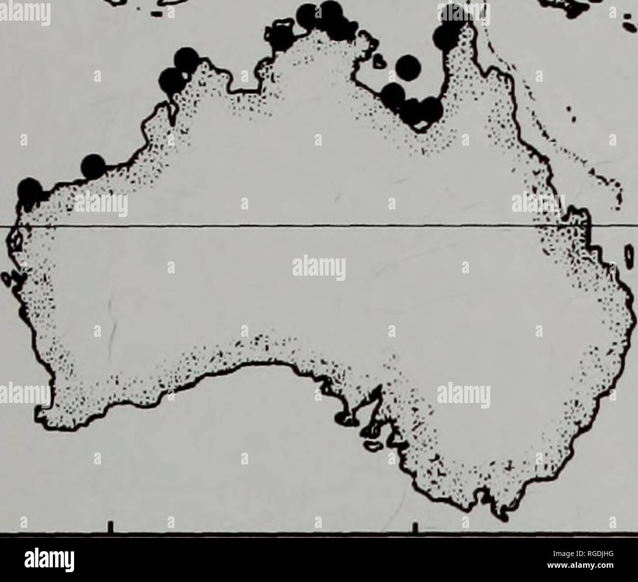 Shark ribs hi-res stock photography and images - Alamy