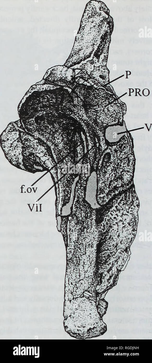 . Bulletin of the Natural Histort Museum. Geology series. . B Fig. 9 ...