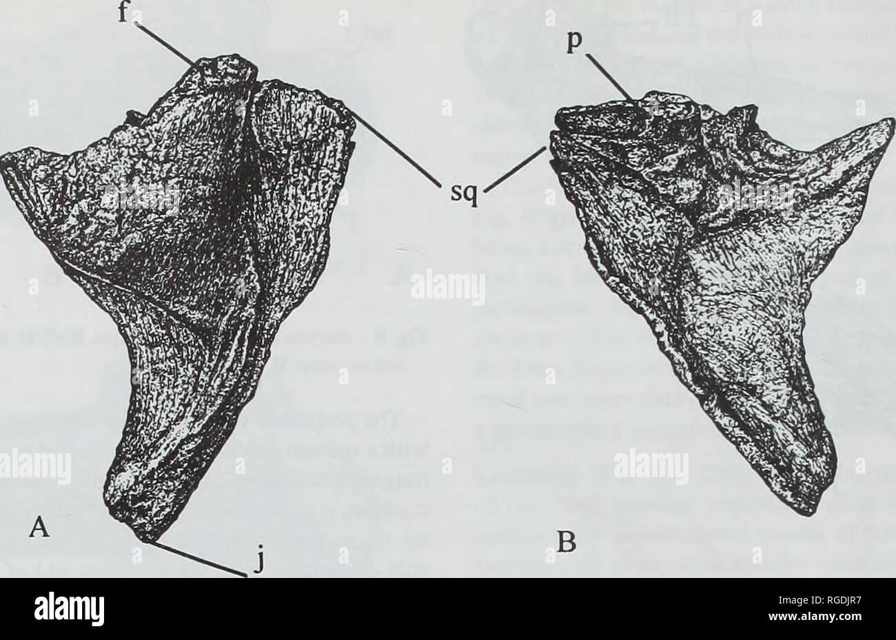 . Bulletin of the Natural Histort Museum. Geology series. 20 A.J ...
