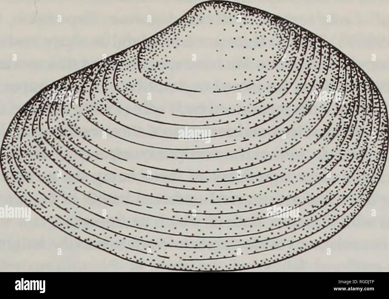. Bulletin of the Natural History Museum Zoology. DEEP-SEA ...