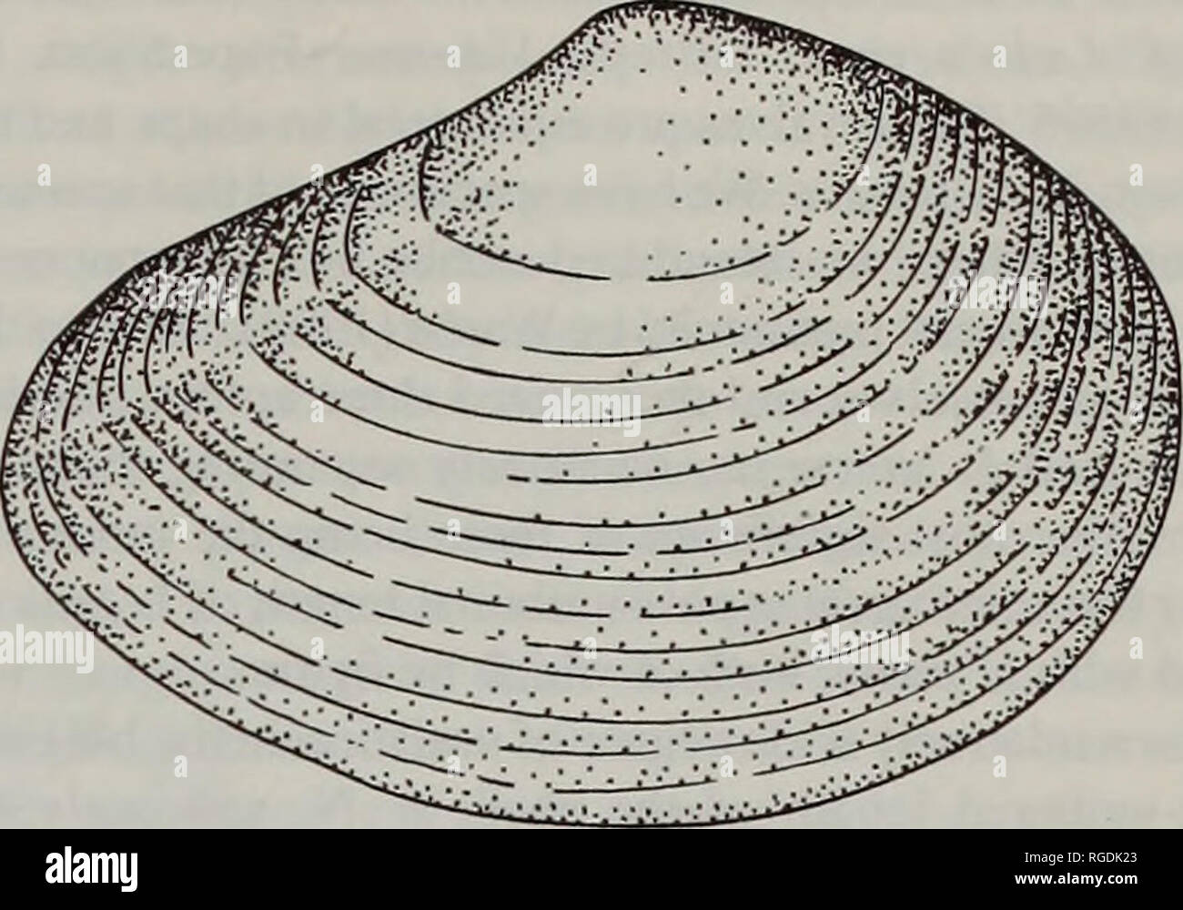. Bulletin of the Natural History Museum Zoology. DEEP-SEA ...