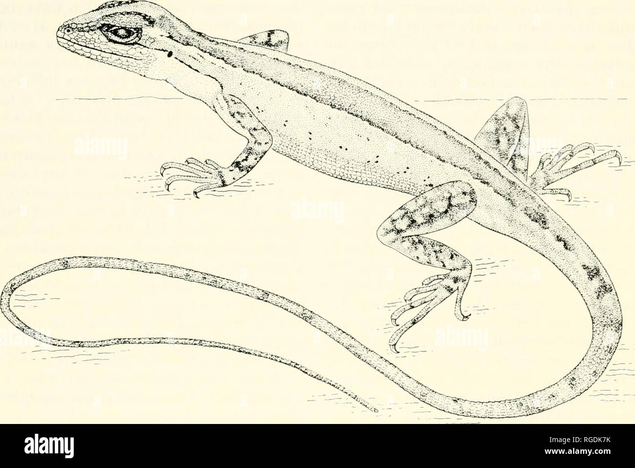 . Bulletin of the Museum of Comparative Zoology at Harvard College ...