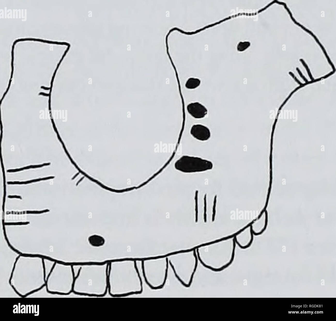 . Bulletin of the Natural Histort Museum. Geology series. Fig. 22 ...