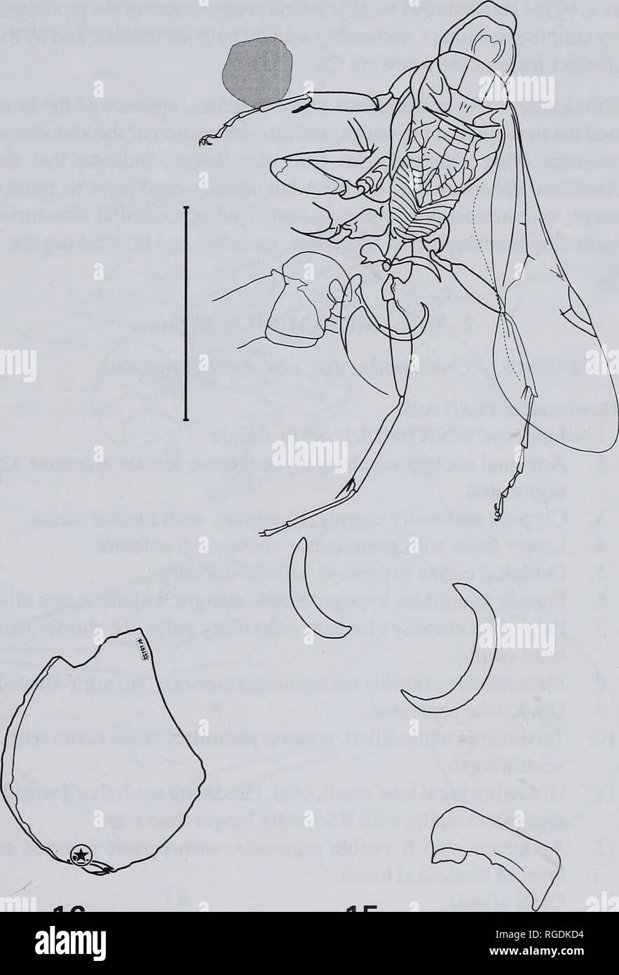 . Bulletin of the Natural History Museum Geology. tergites almost ...