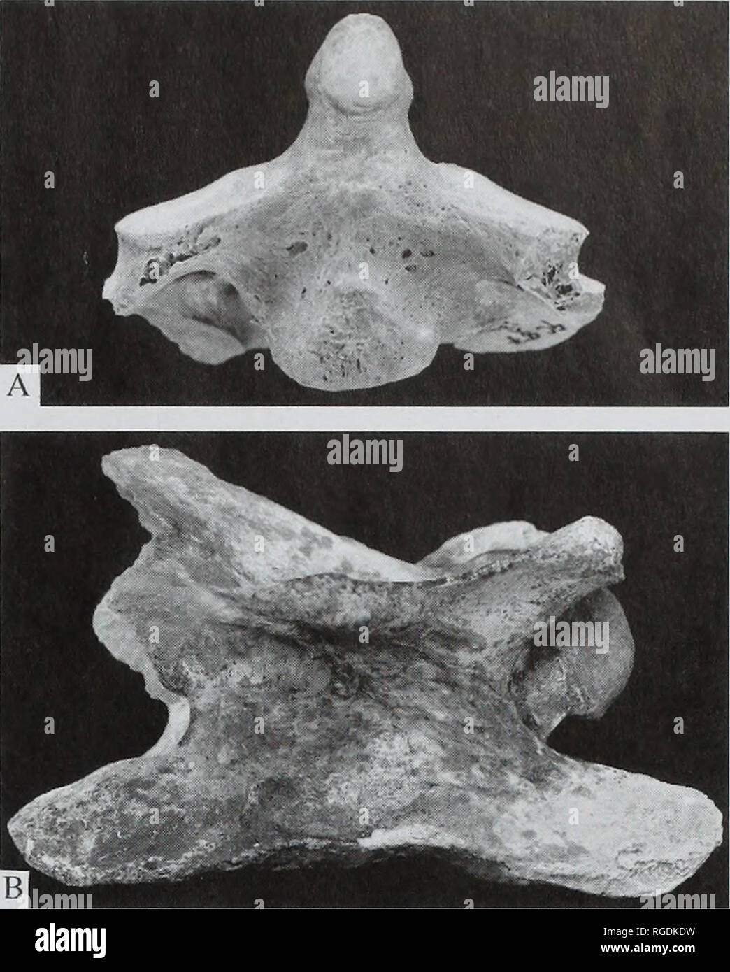 Geology conformation hi-res stock photography and images - Alamy