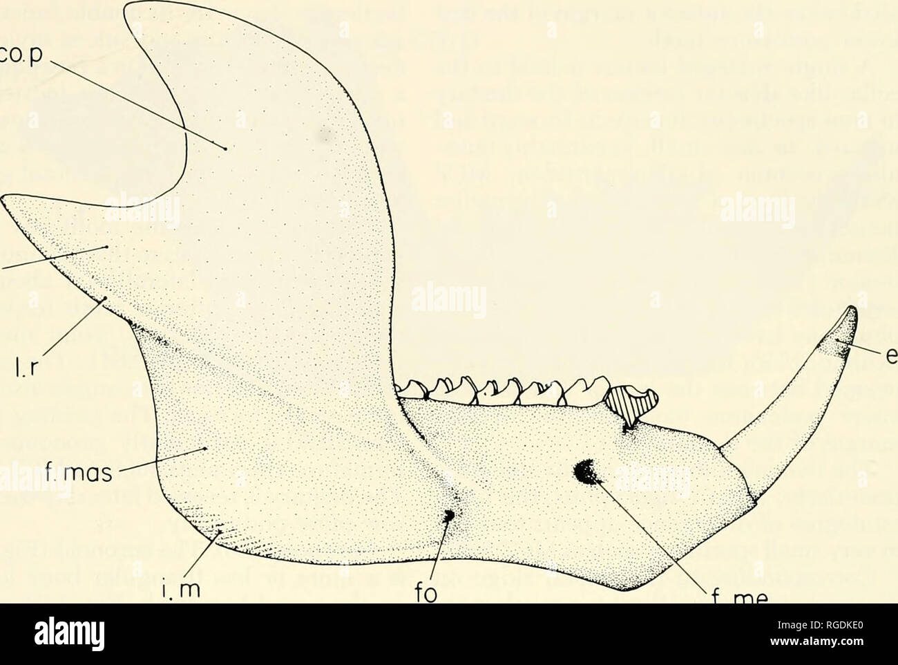 . Bulletin of the Museum of Comparative Zoology at Harvard College ...