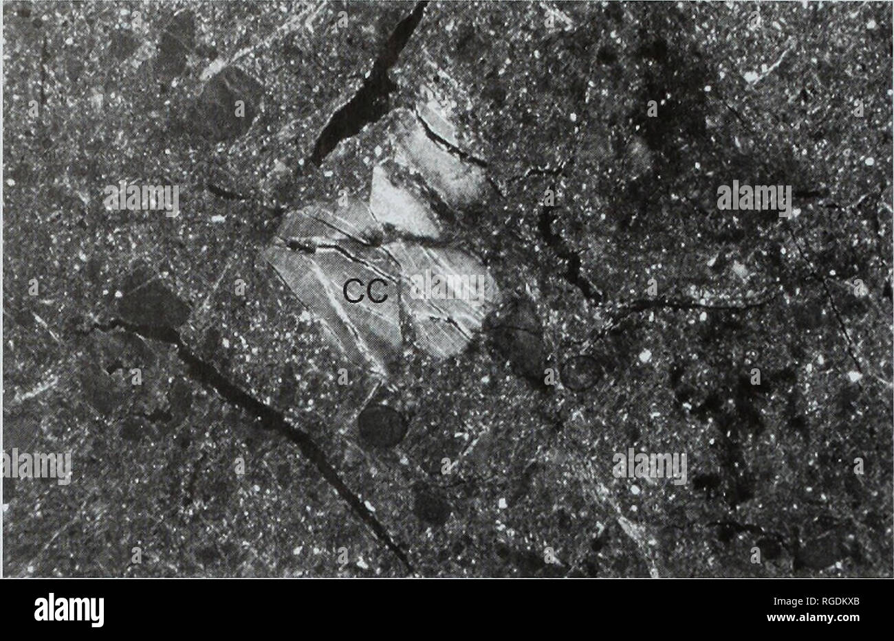 . Bulletin of the Natural Histort Museum. Geology series. 54 R.I ...