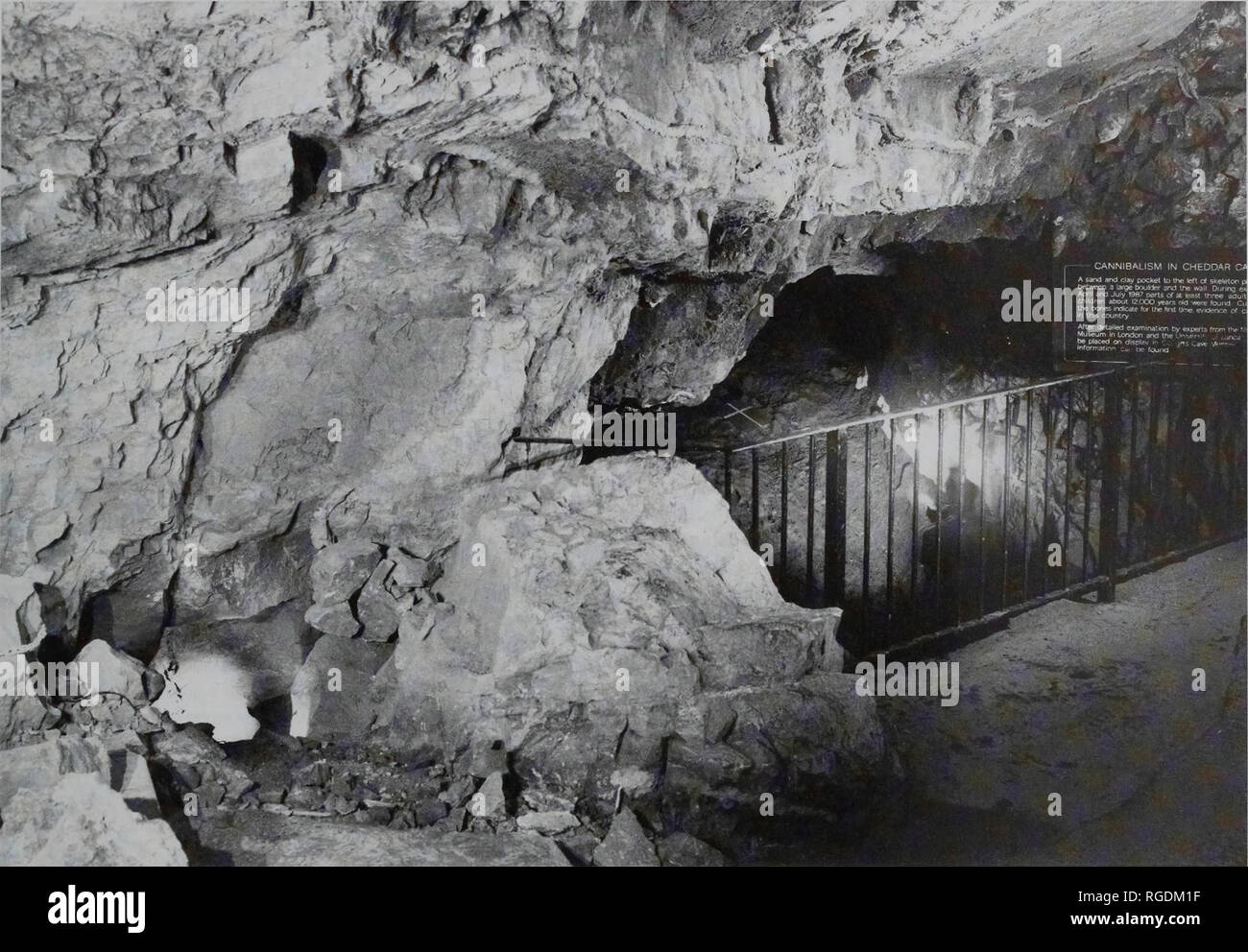Gough's cave, cheddar hi-res stock photography and images - Alamy