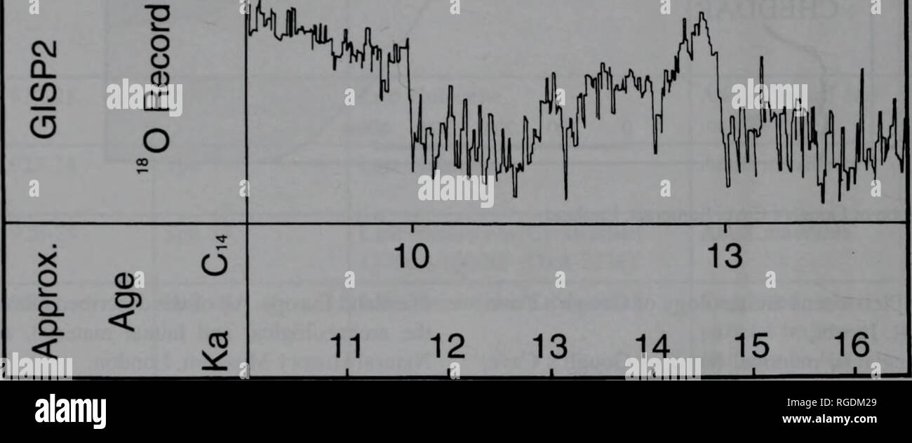 . Bulletin of the Natural History Museum Geology. 138 C. STRINGER > CD ...