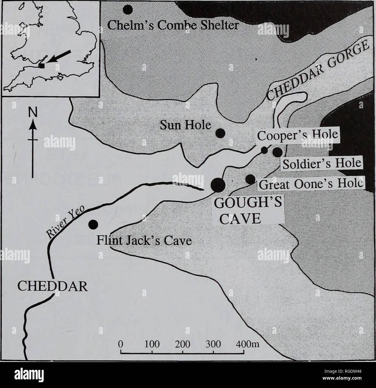 . Bulletin of the Natural History Museum Geology. GOUGH'SCAVE HUMAN ...
