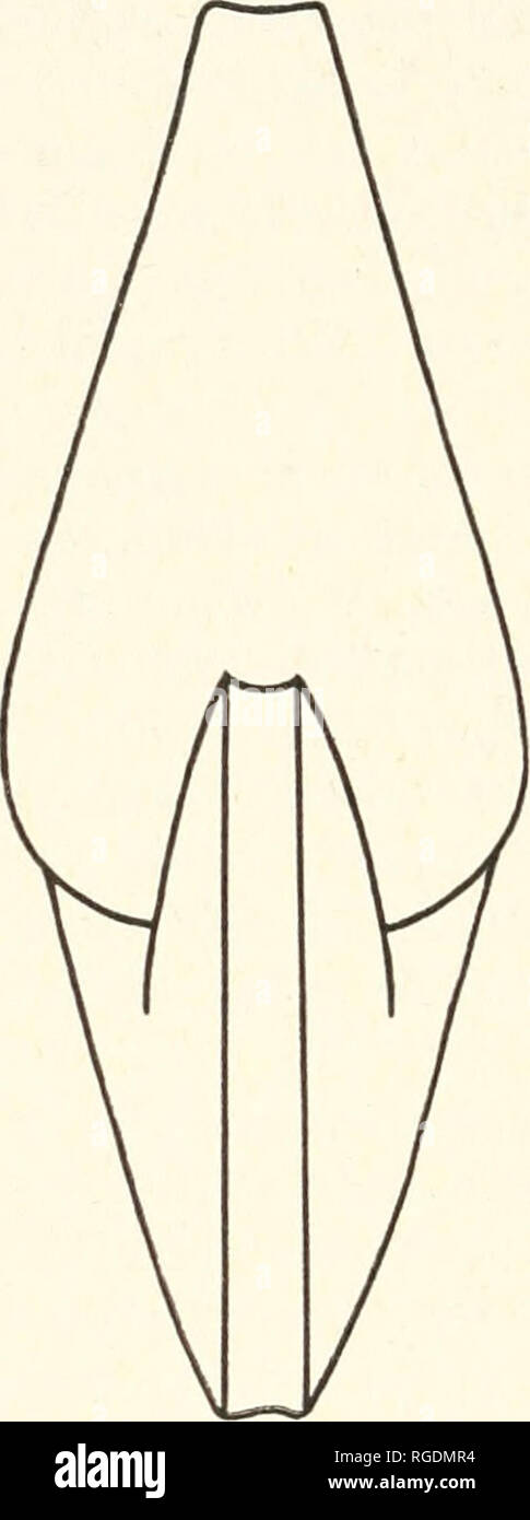 Narrow concave hi-res stock photography and images - Alamy