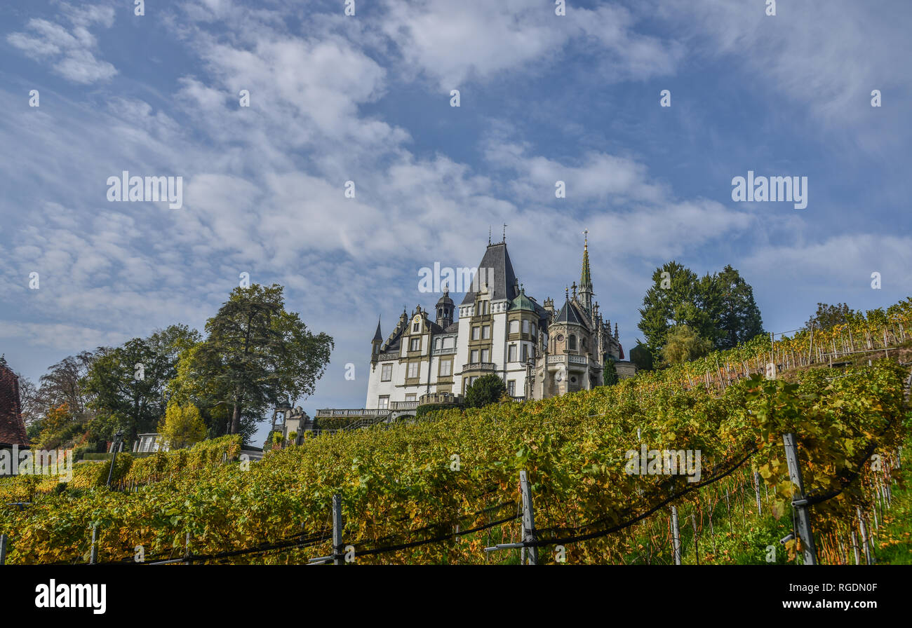 Meggenhorn Castle with vineyard in Lucerne, Switzerland. The castle is ...
