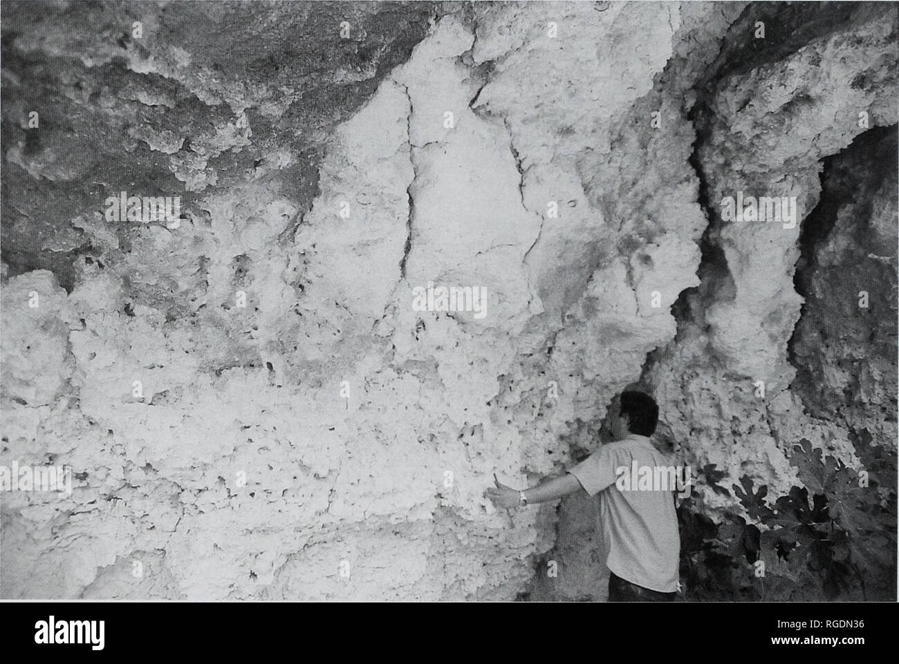Calcarenite hi-res stock photography and images - Alamy