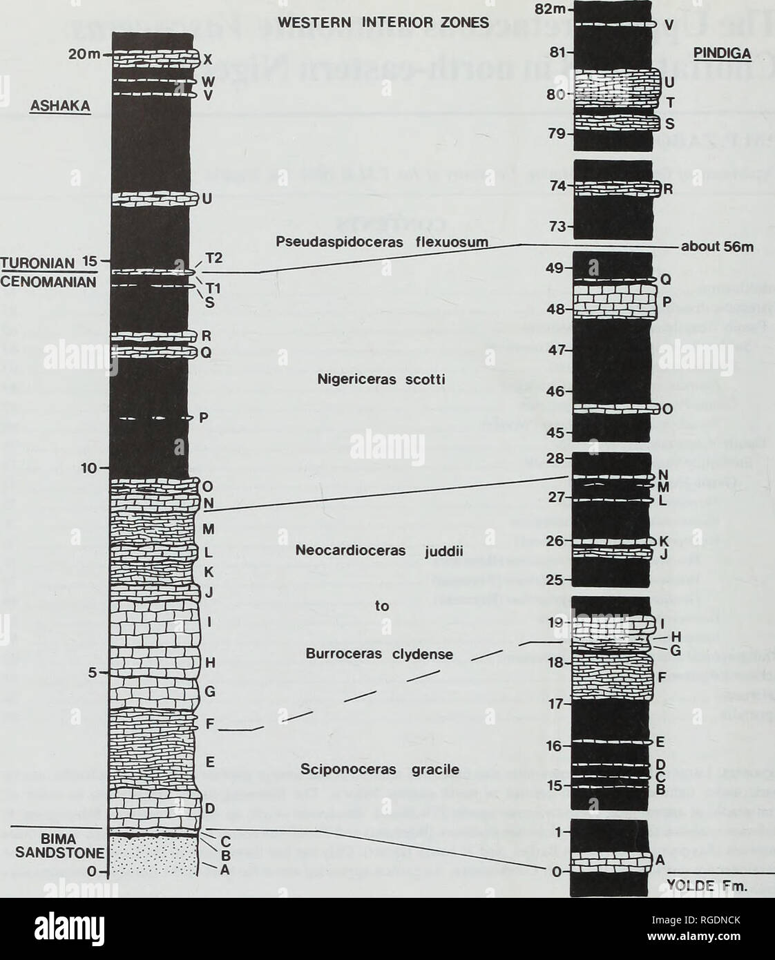 . Bulletin of the Natural Histort Museum. Geology series. 62 P.M.P ...
