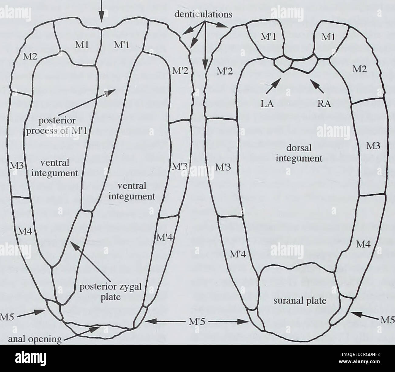 1 gen series i hi-res stock photography and images - Alamy
