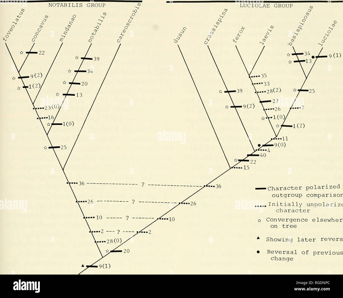 Outgroup hi-res stock photography and images - Alamy