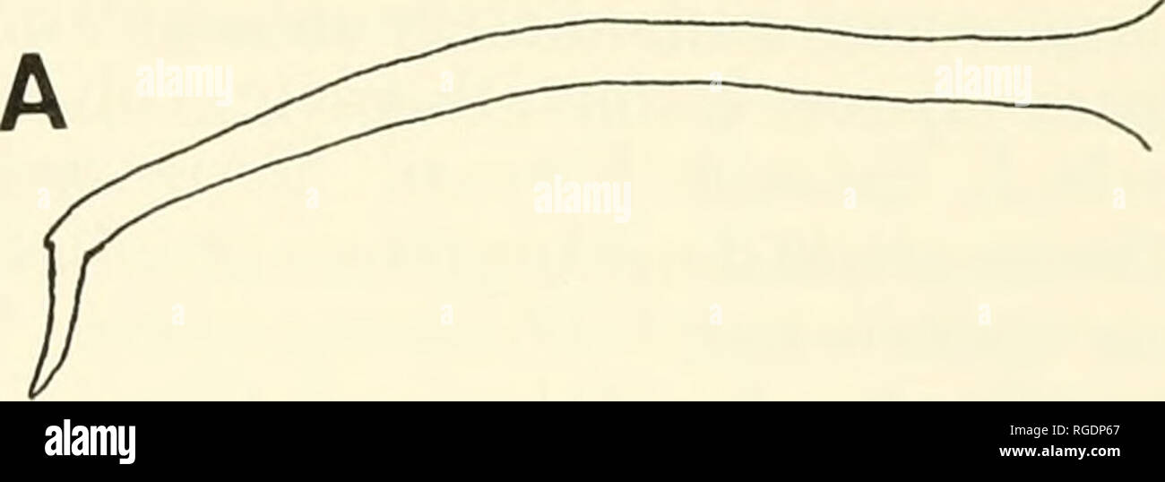 Longitudinally extending groove hi-res stock photography and images - Alamy