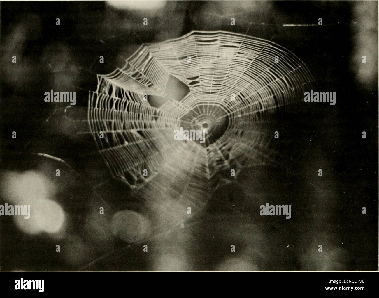 Broken lin hi-res stock photography and images - Alamy