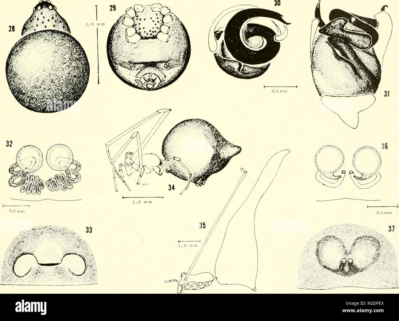 . Bulletin of the Museum of Comparative Zoology at Harvard College ...
