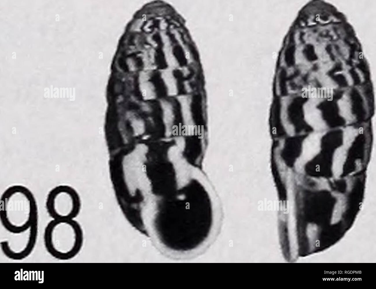 Fleming Key High Resolution Stock Photography and Images - Alamy