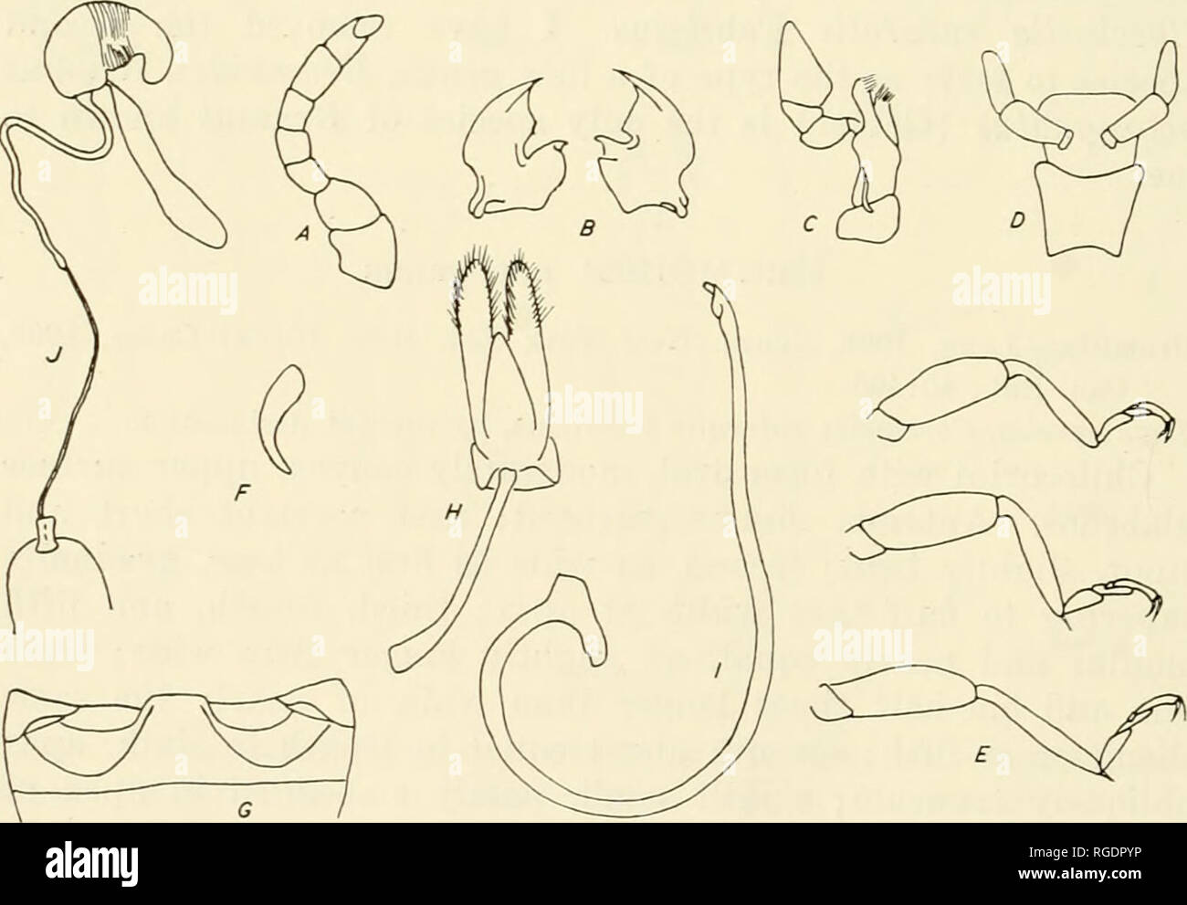 . Bulletin of the Museum of Comparative Zoology at Harvard College ...