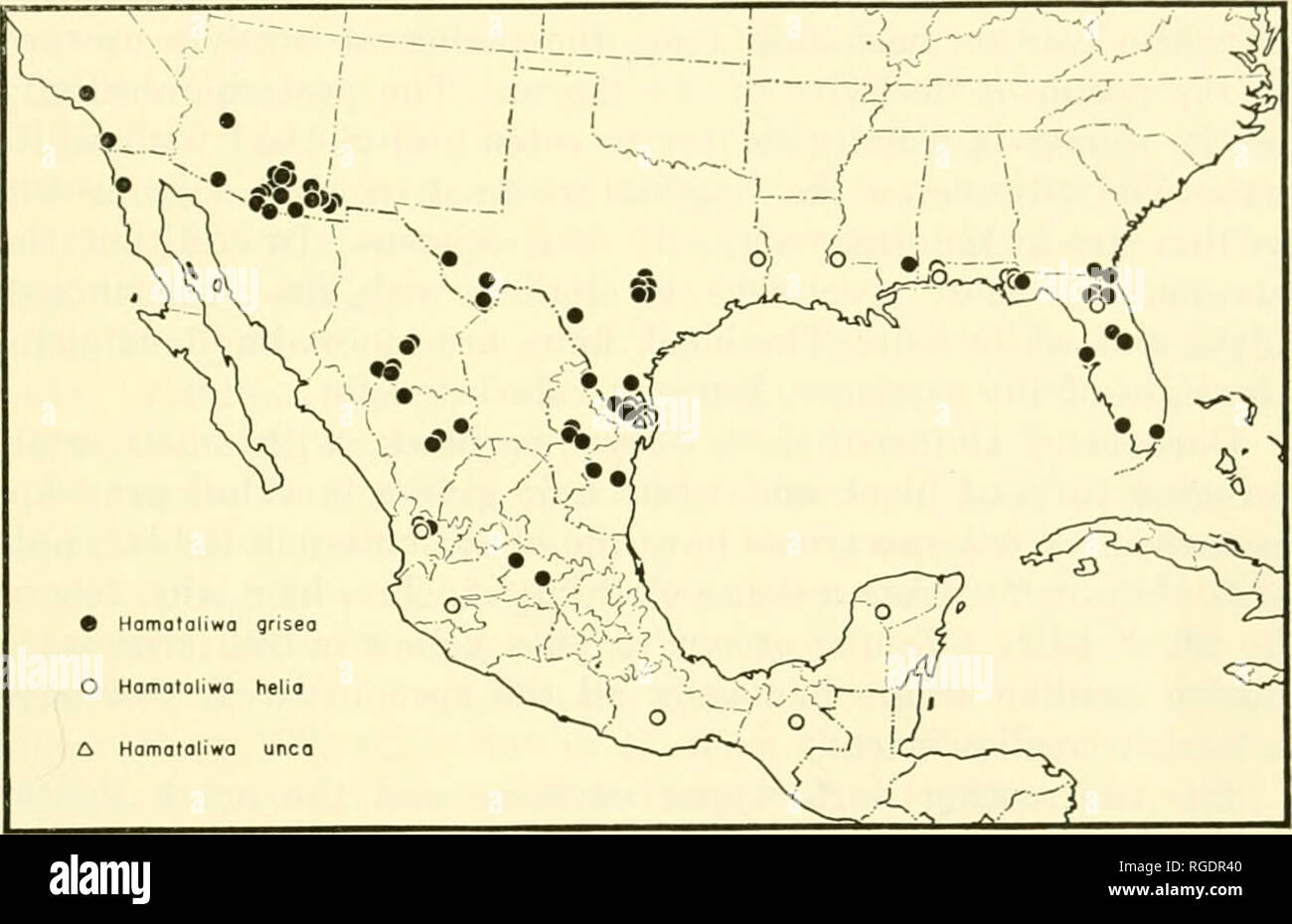 Boca chica texas map hi-res stock photography and images - Alamy