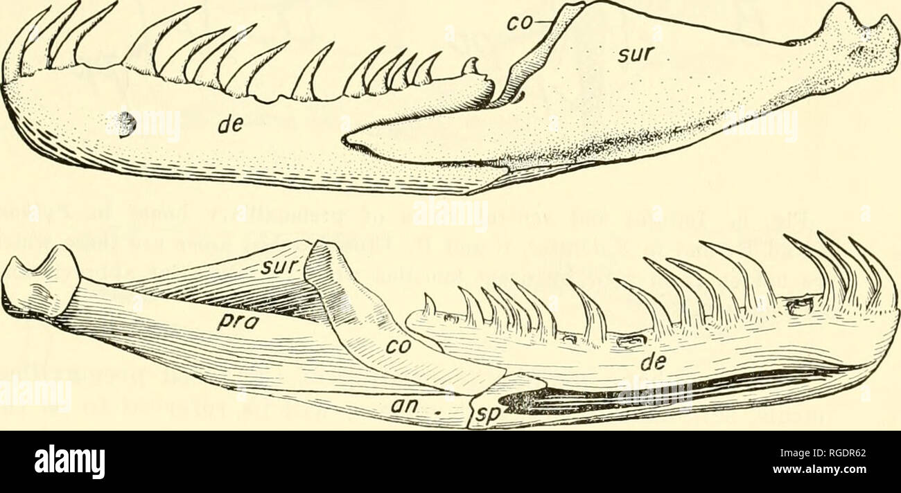 . Bulletin of the Museum of Comparative Zoology at Harvard College ...