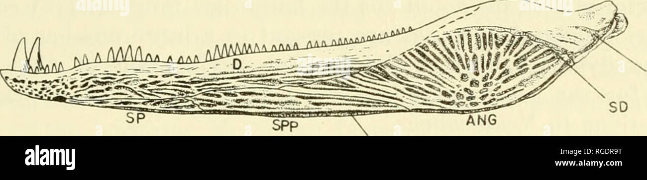 . Bulletin of the Museum of Comparative Zoology at Harvard College ...