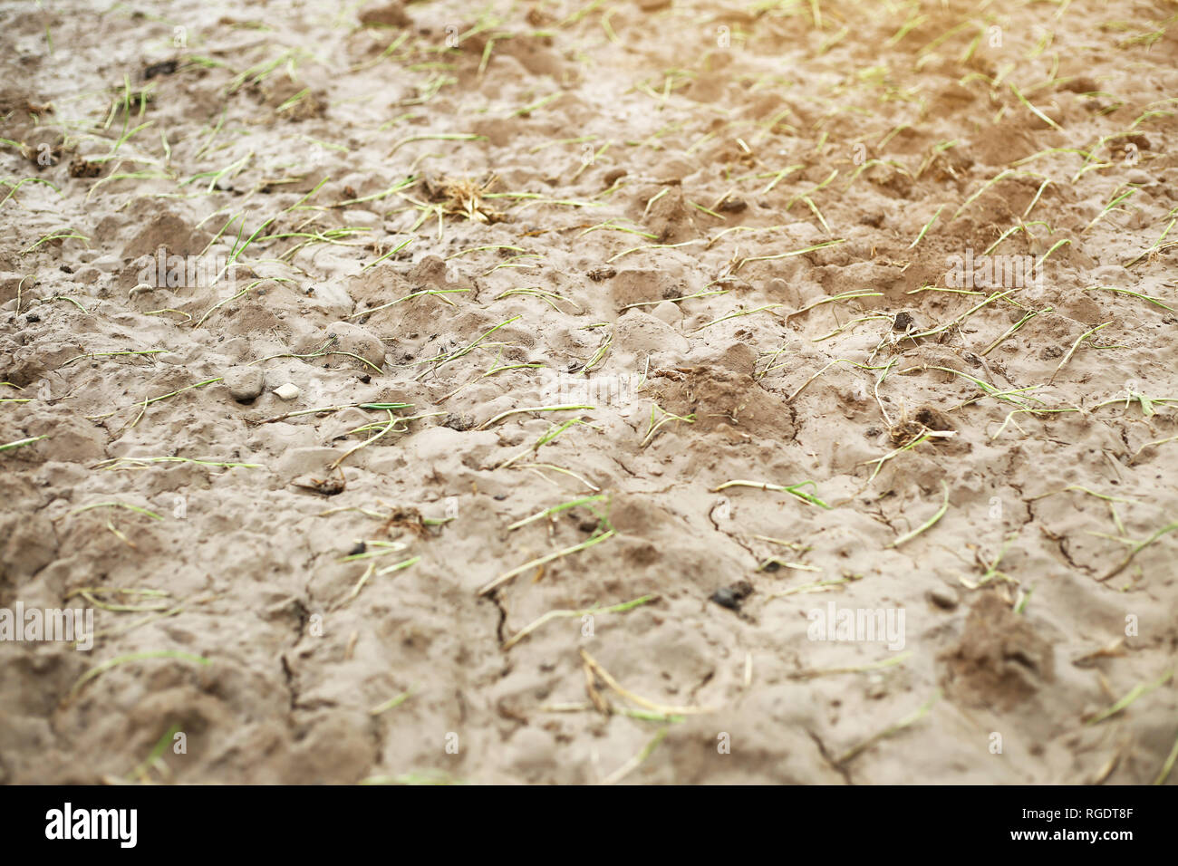 Soil stack hi-res stock photography and images - Alamy