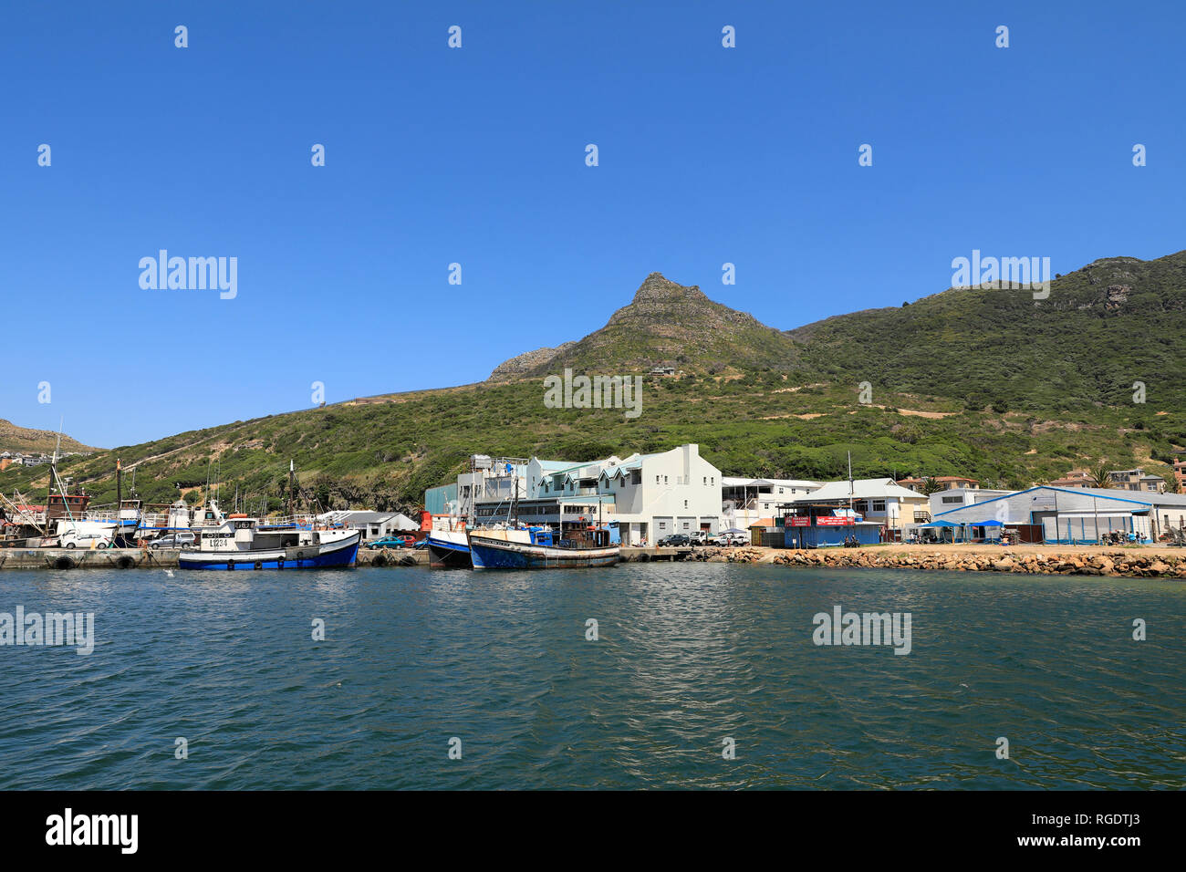 Fish factory at Hout Bay harbour near Cape Town, South Africa Stock ...