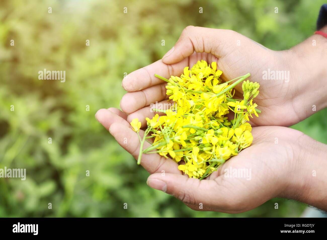 Holding mustard hi-res stock photography and images - Alamy